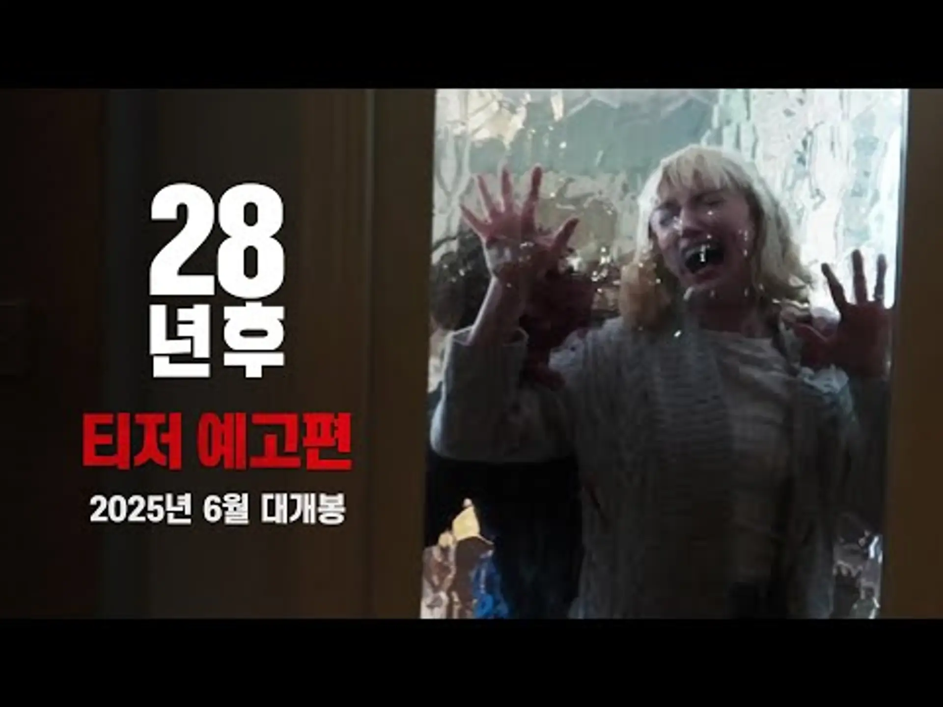 28년 후 다시 보기 보는곳 | PicklePlus